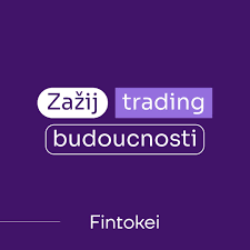 Fintokei | FXstreet.cz